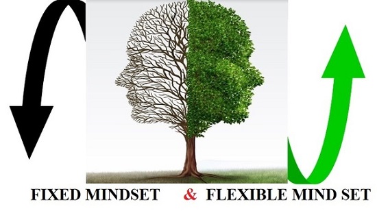4 steps you need to walk to develop a flexible mindset for growth – The ...